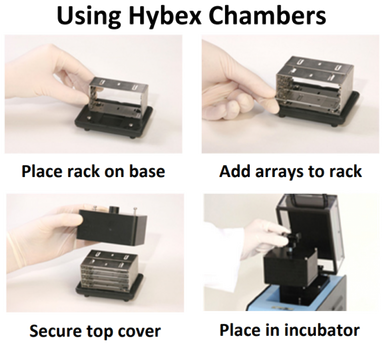 Hybex Microarray Chamber Kit