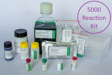 PVA (Potato Virus A) Complete ELISA Kit - 5000 reactions