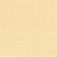 GOLDEN SANDSTONE COLOR HARDENER - 5 GALLON - Moon Decorative Concrete