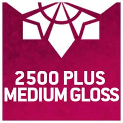SS SUPREME PLUS MED GLOSS ACRYLIC COPOLYMER 25% - Moon Decorative Concrete