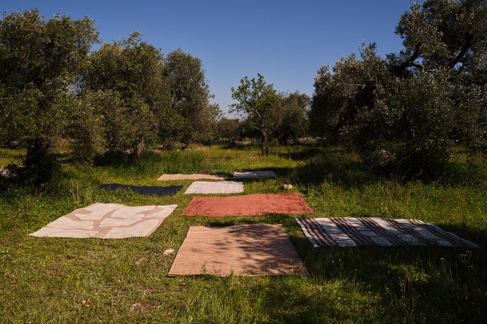 Shop the Latest Collections of Rugs