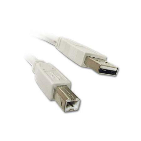 USB A-B Cable - 3ft