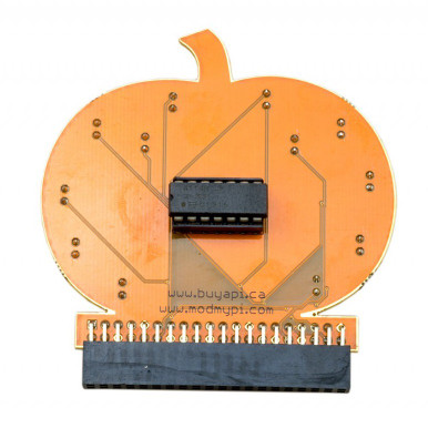 Raspberry Pi Halloween Pumpkin Programmable Kit