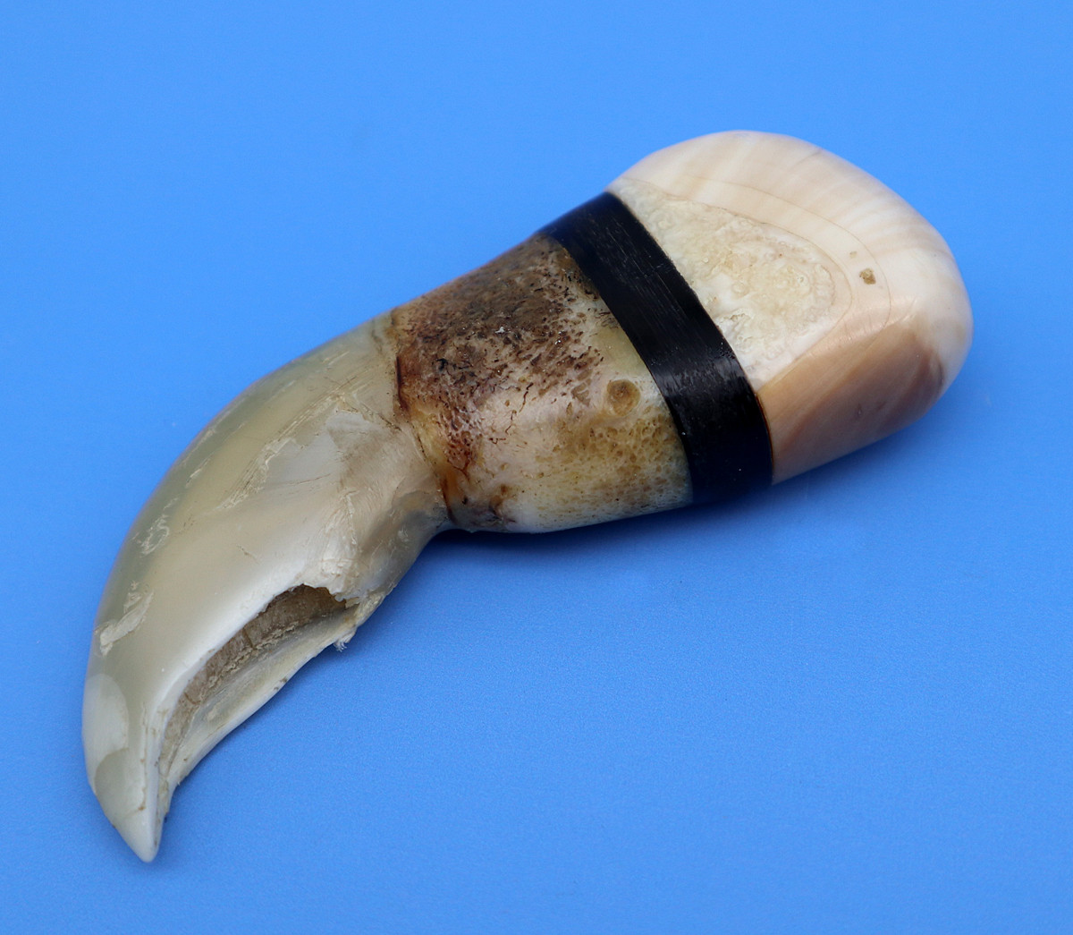 Alaska Native Ivory Carving | Russian American Company