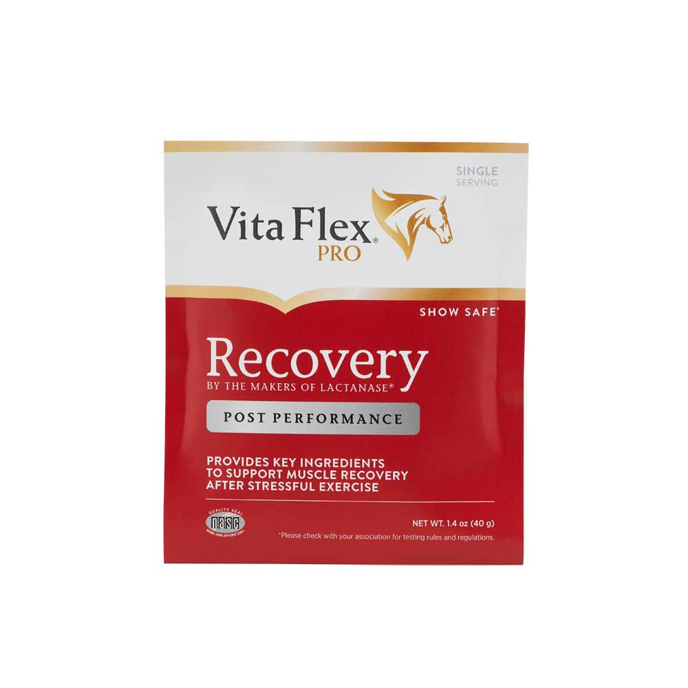 Vita Flex® Pro Recovery Powder - 40 gm - KBC International