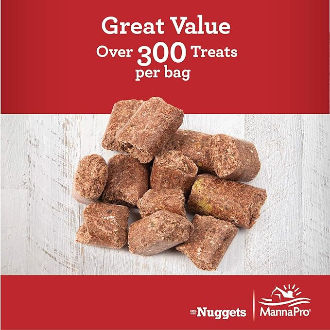 Manna Pro® Carrot & Spice Nuggets Treat - 4 lbs - KBC International