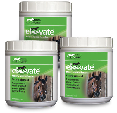 Elevate® Powder - 2 lbs - Natural Vitamin E Supplement for Horses by KPP