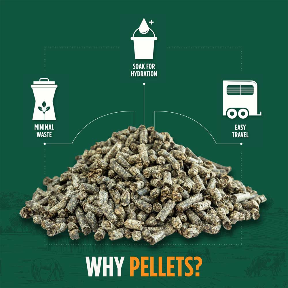 Standlee® Premium Smart Beet Pellets - 40 lbs Horse Forage Pellet