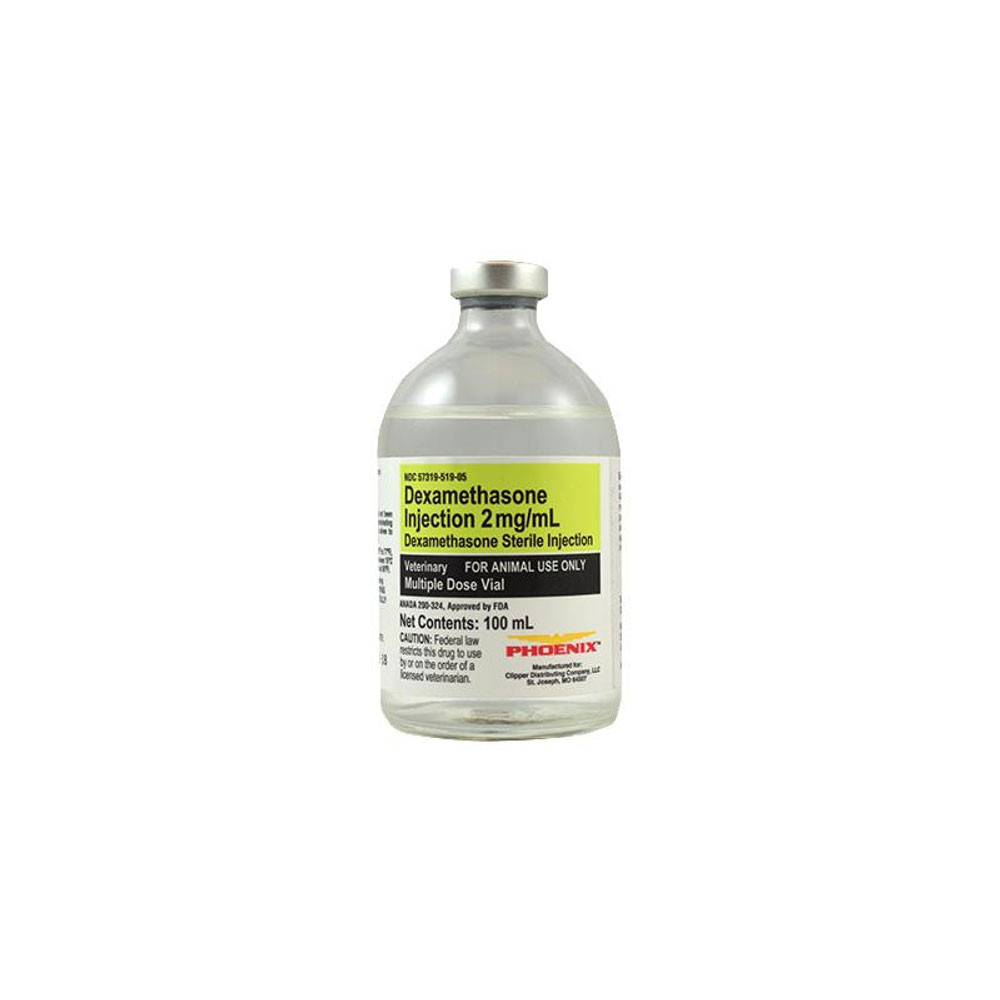 Dexamethasone (Rx) - 2 mg/mL, 100 mL - KBC International