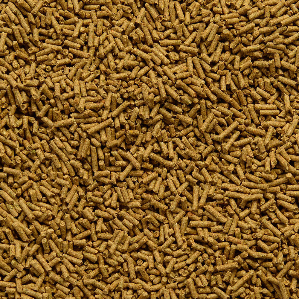 Hallway® Feeds Equibility® Feed - 50 lb - KBC International
