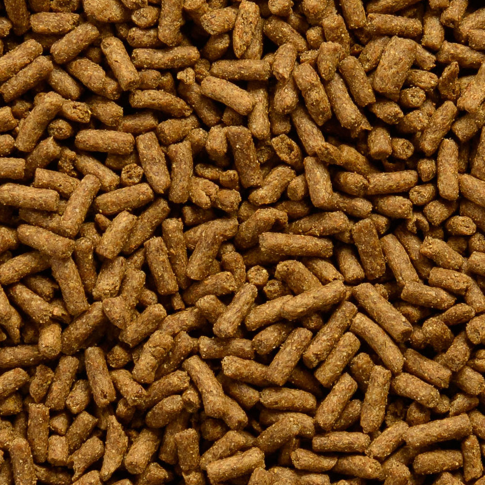 Hallway® Feeds Luminance® - 40 lb - KBC International