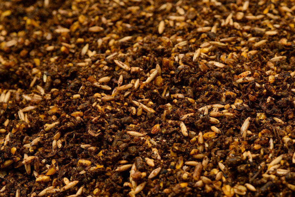 Hallway® Feeds Prep 14® Feed - 50 lb Horse Feed