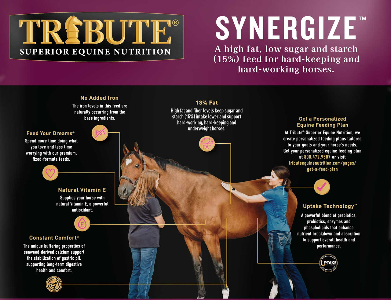 Tribute Equine Nutrition Synergize™ Pelleted Feed - 50 lb Bag Horse ...