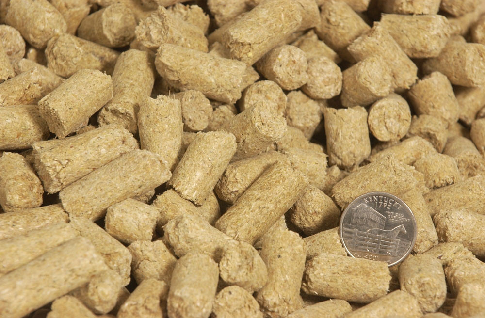 McCauley's® Original® 14 Feed Cubes - 50 lbs Horse Feed