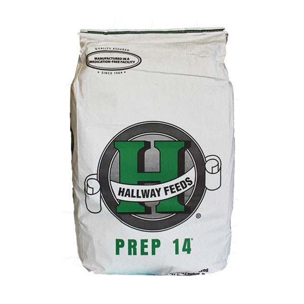 Hallway Feeds® Products - KBC International