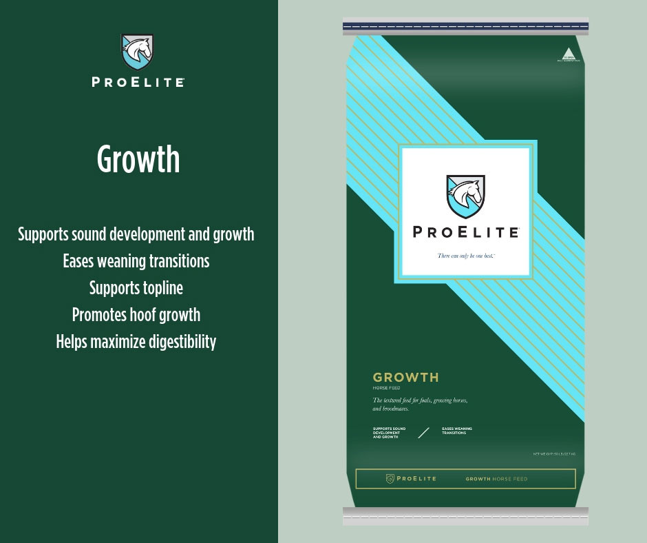 ProElite® Feeds Products - KBC International