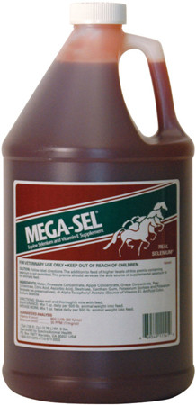 Mega-Sel® - Gallon - KBC International