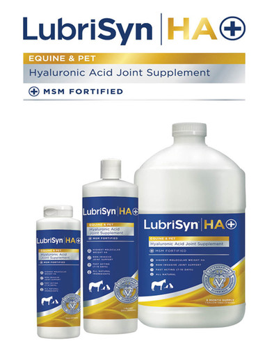 LubriSyn® HA+ MSM - Gallon - KBC International