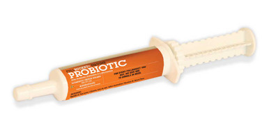 Full Bucket® Equne Probiotic Paste - 32.5mL - KBC International