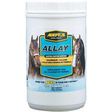 Allay® Gastric Buffer Support - 4 lb - KBC International