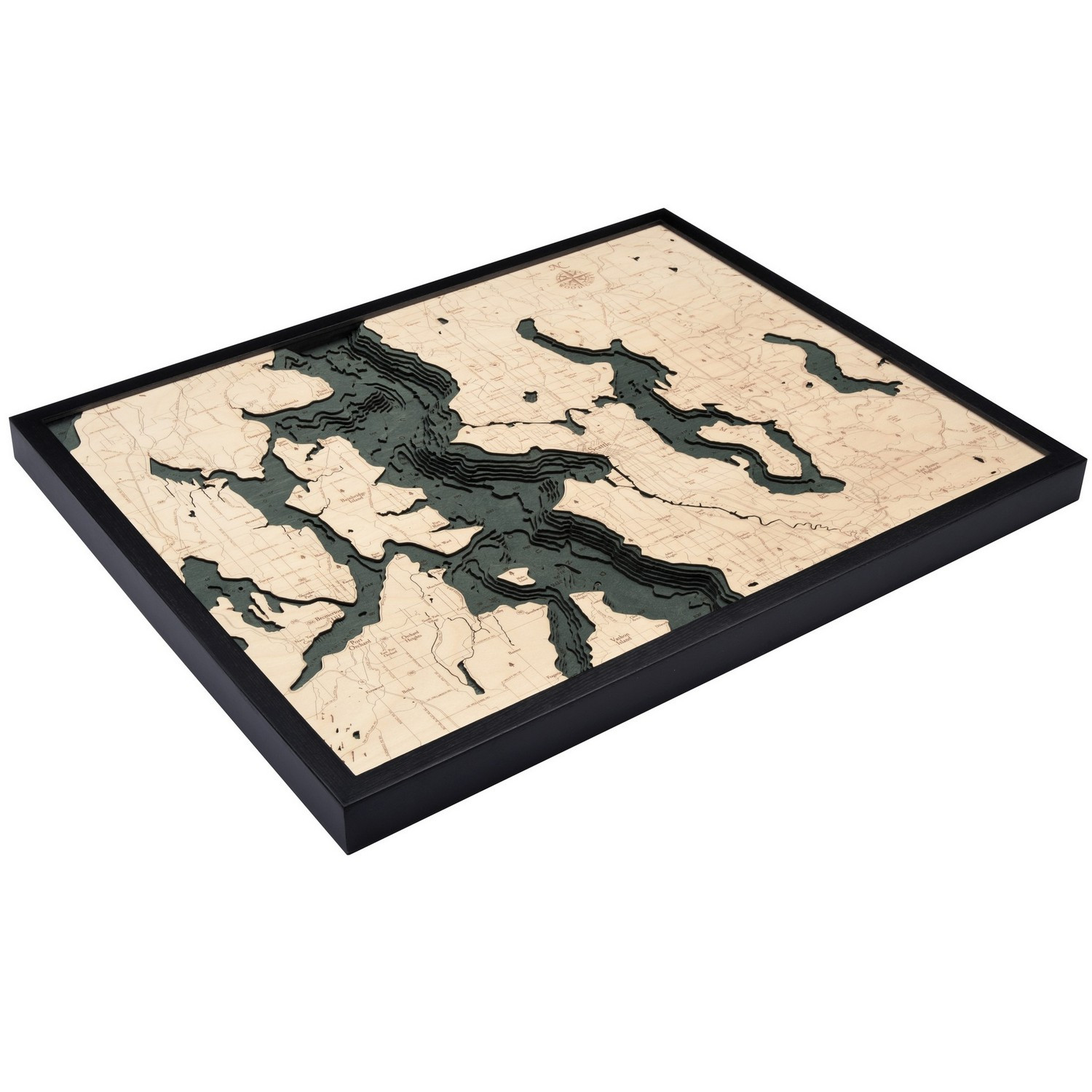Seattle Washington | Topographic 3D Chart