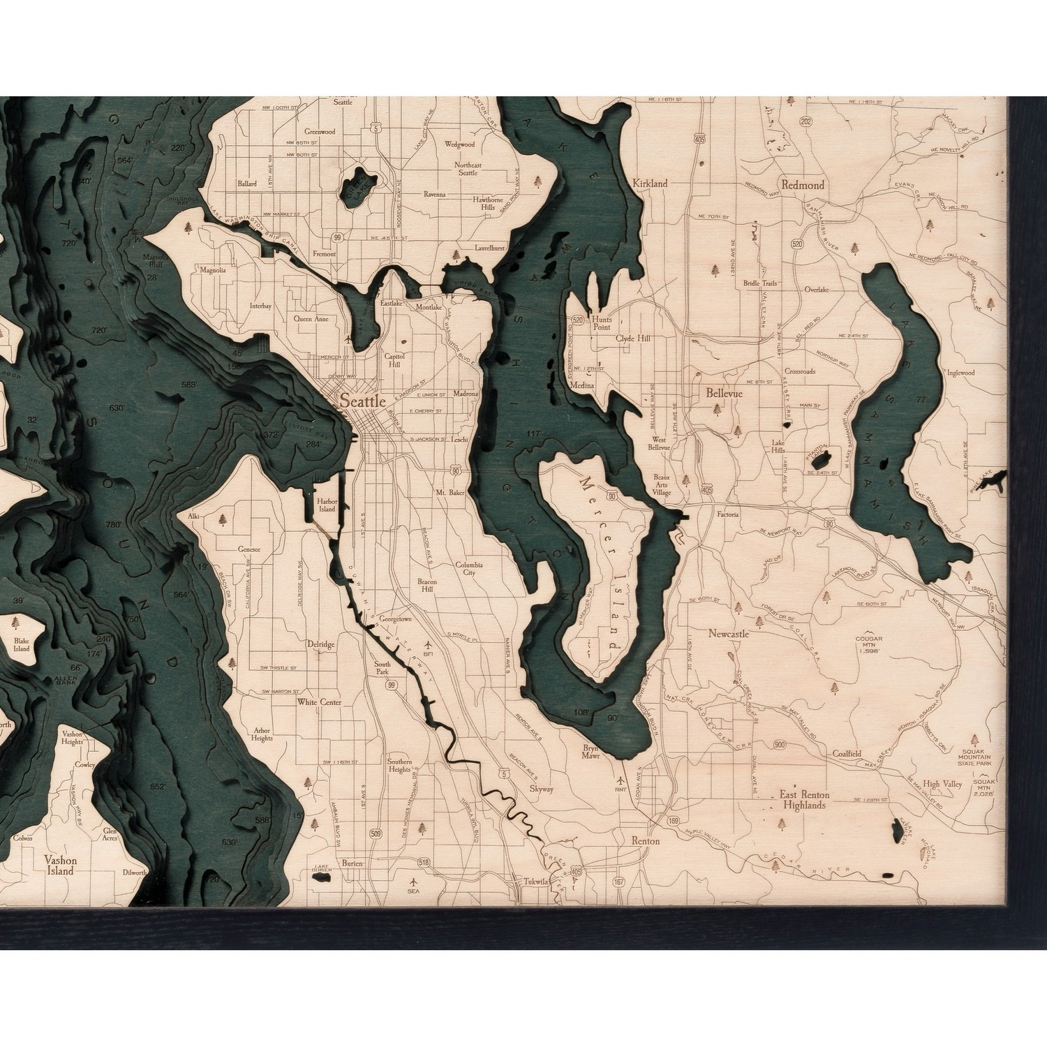 Seattle Washington | Topographic 3D Chart