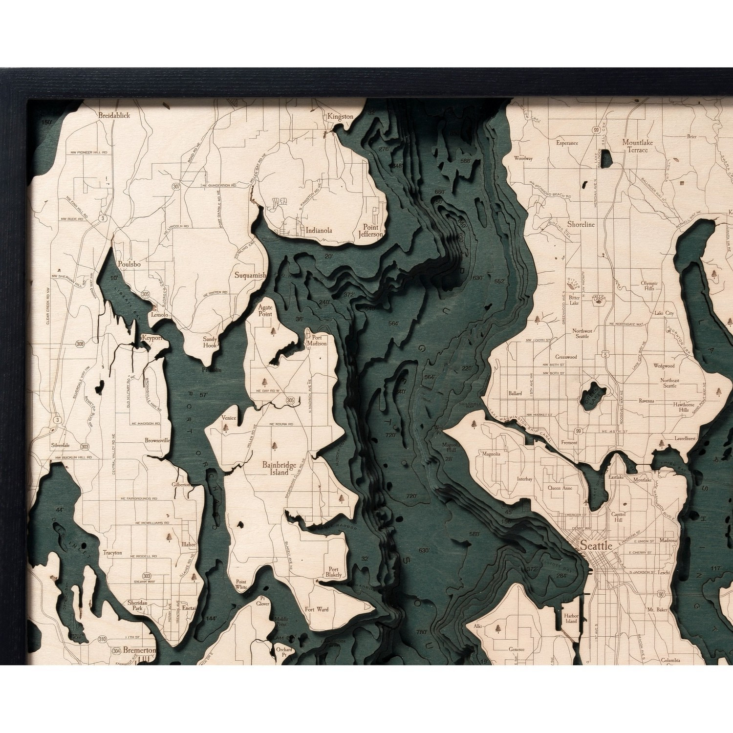 Seattle Washington | Topographic 3D Chart