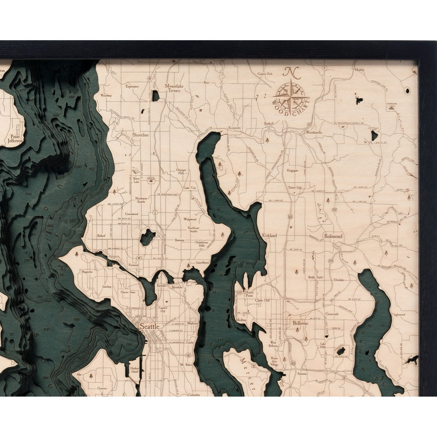Seattle Washington | Topographic 3D Chart