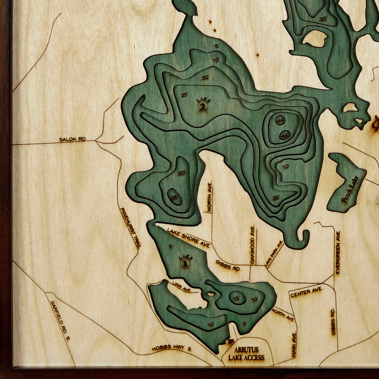 Arbutus Lake Wooden Map Art | Topographic 3D Chart