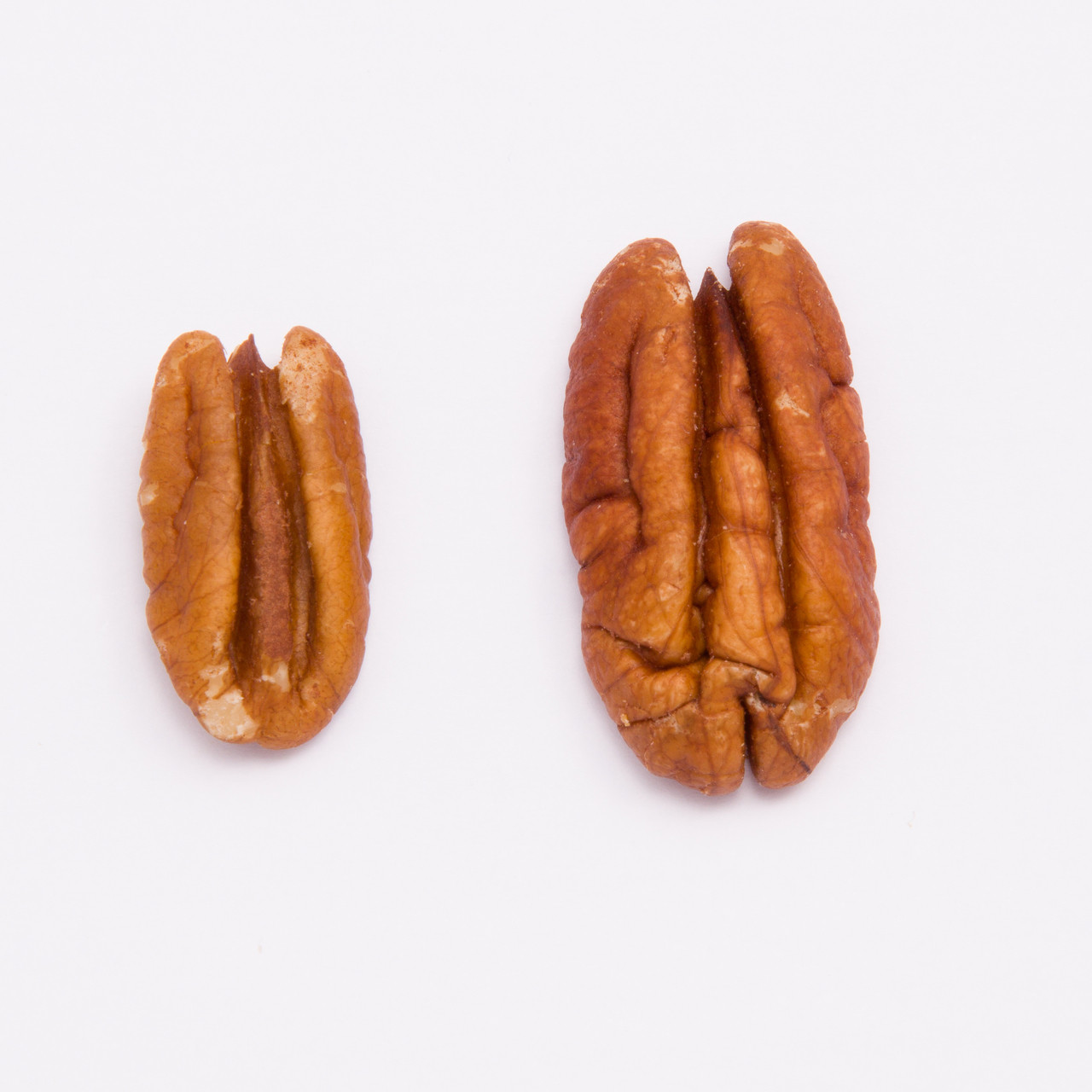 Raw Fancy Mammoth Pecan Halves