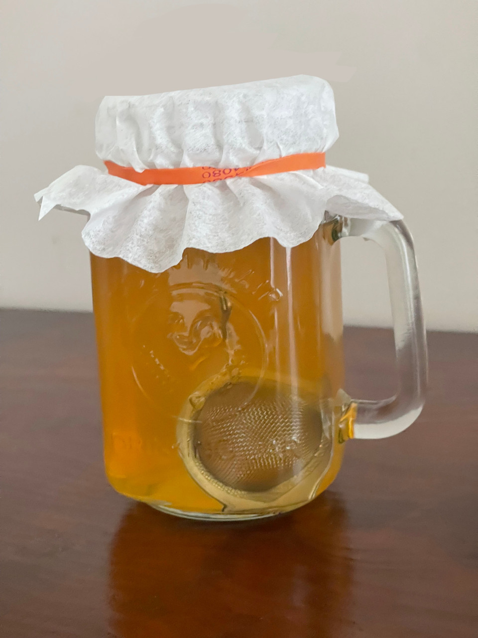Ginger Beer Plant Starter Culture - Basic Ginger Beer Recipe HappyHerbalist