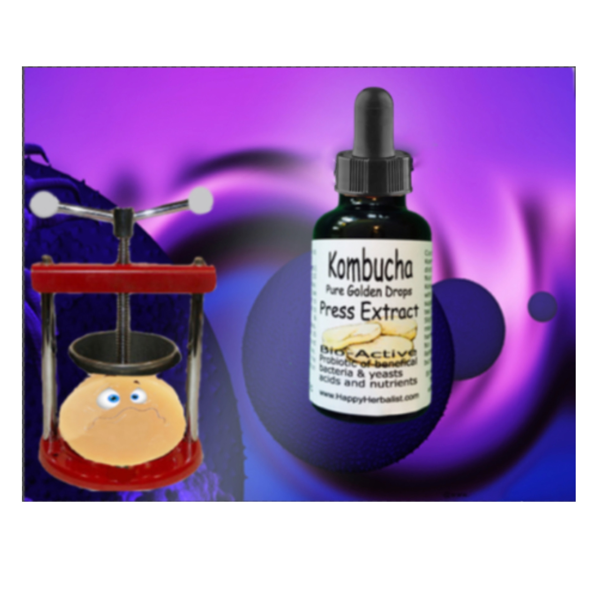 Kombucha Pure Extracts - Happy Herbalist