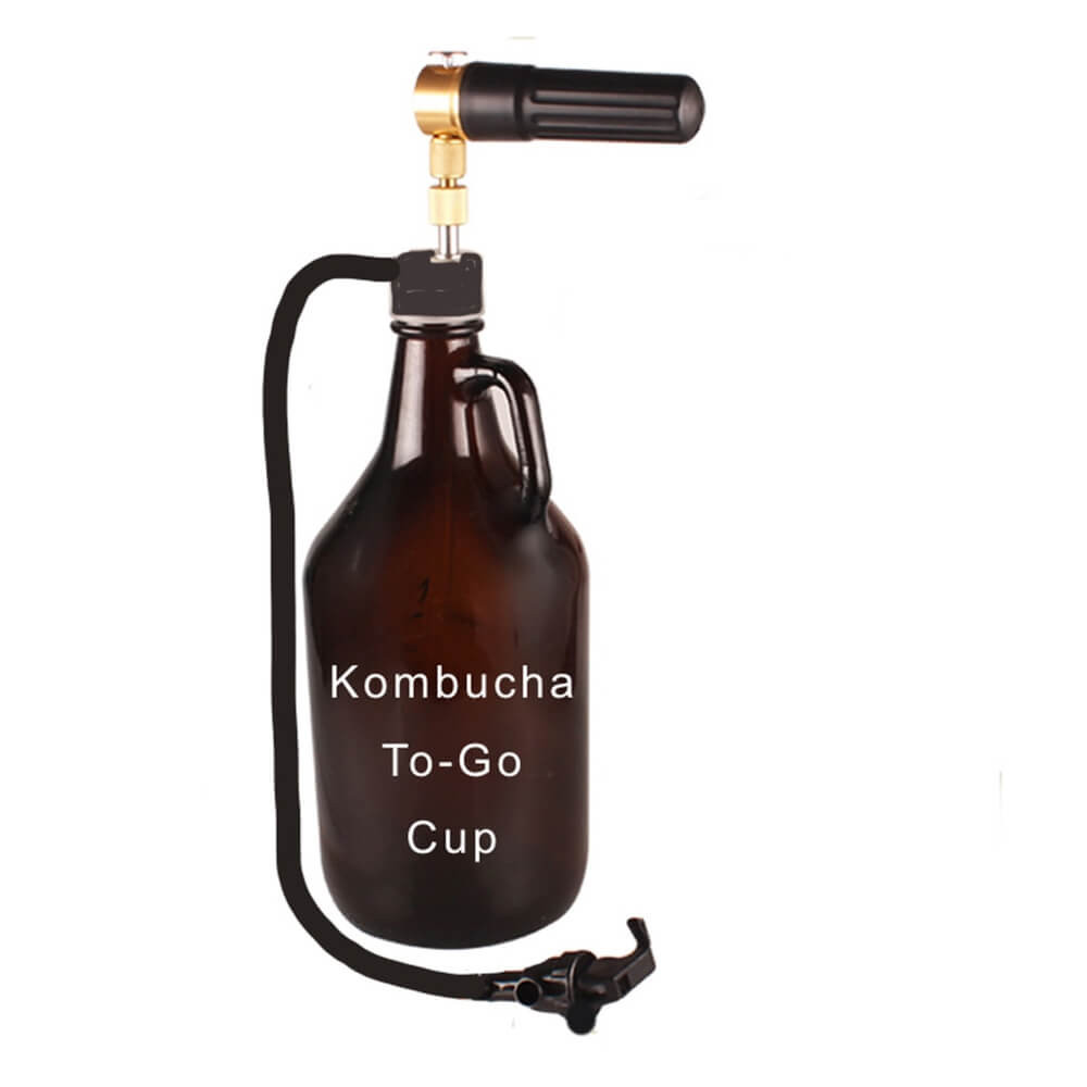 Mini Keg for Fresh Carbonated Brew – Keeps 64 oz chilled and sparkling ...