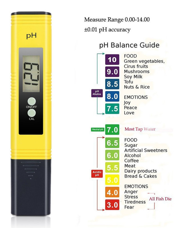 pH Digital Meter