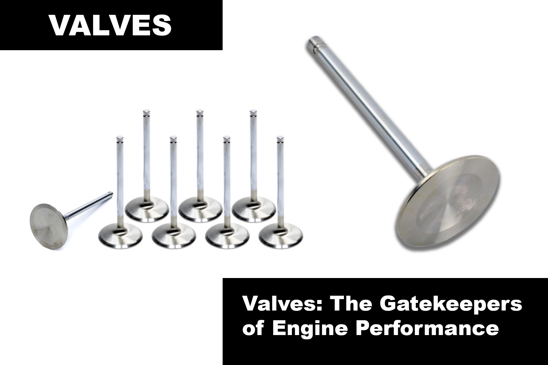 Valves: The Gatekeepers of Engine Performance - ATS - Performance Parts
