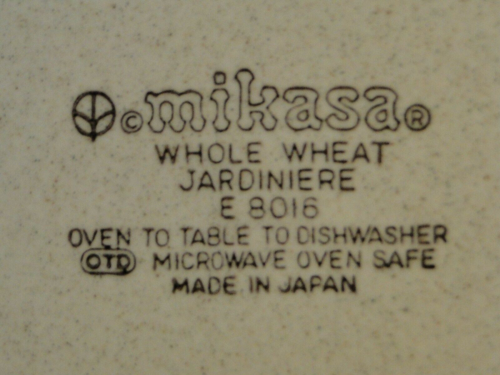 Mikasa Whole Wheat Jardiniere Dinner Plates 10 3/4" E8016 Set of 4 | DR ...
