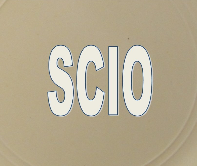SCIO | DR Vintage Dinnerware and Replacements