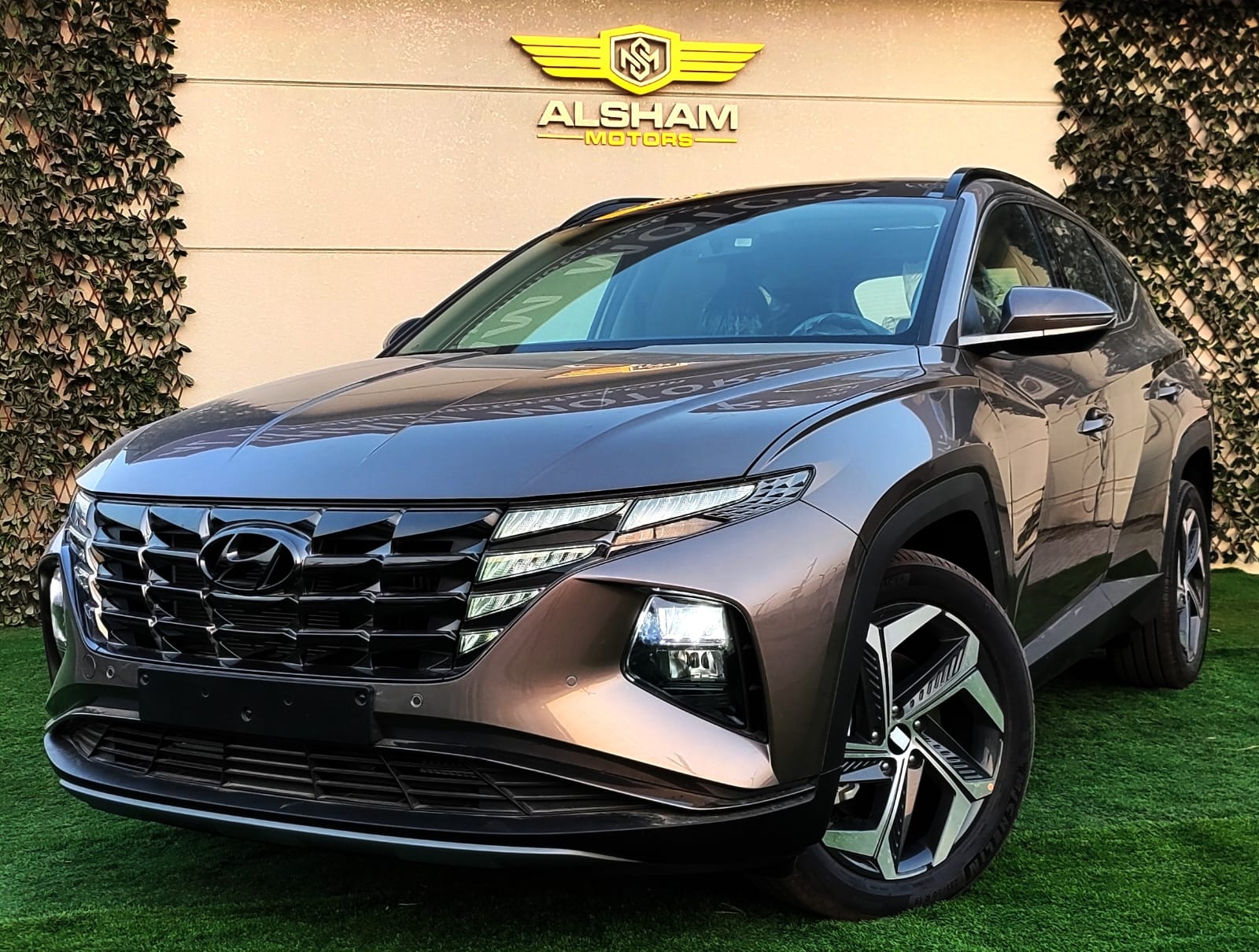 2022 Hyundai Tucson Bronze