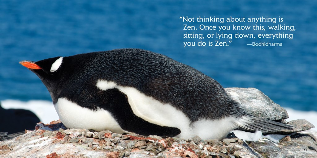Zen Penguins - The Art of Keeping Chill - Little Obsessed