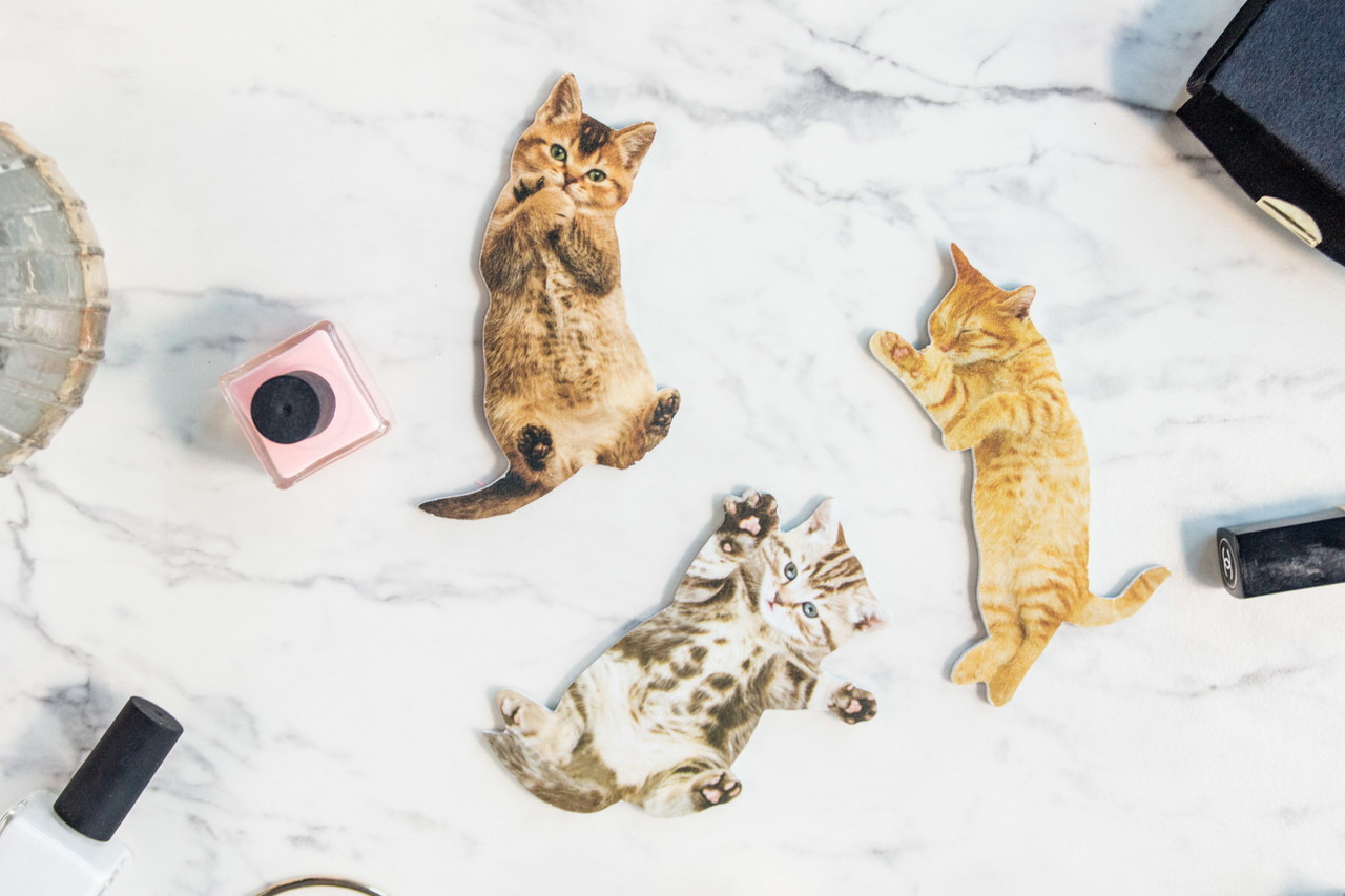 Purrfect Nails Cat Nail File - Little Obsessed