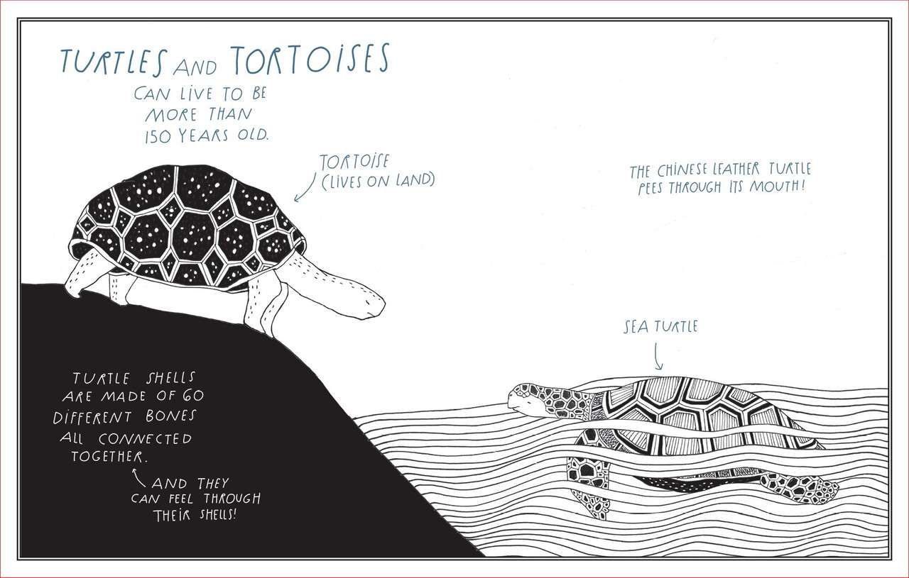 Amazing Animal Facts Postcards to Color - Little Obsessed