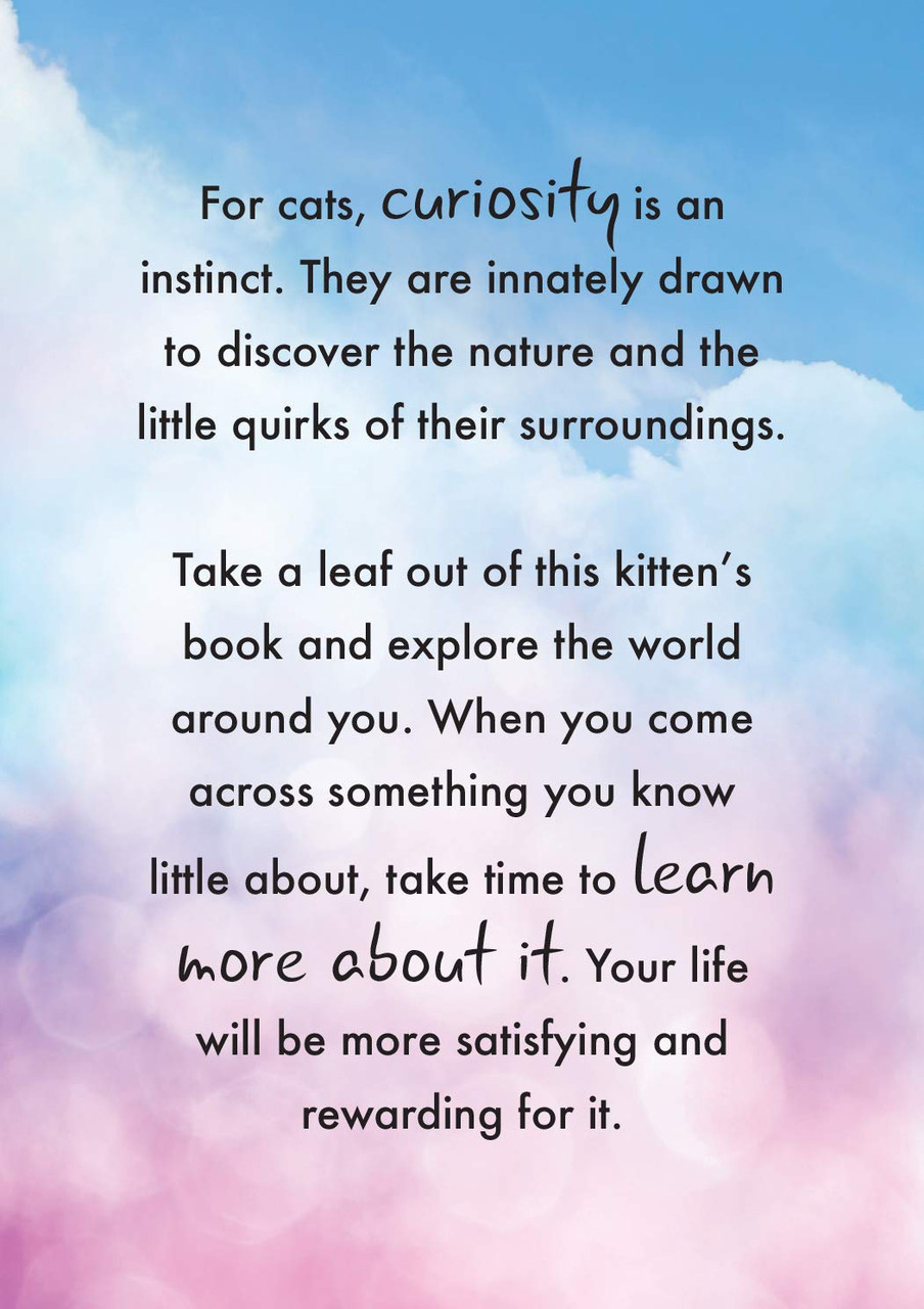 Cat Wisdom Cards - Little Obsessed