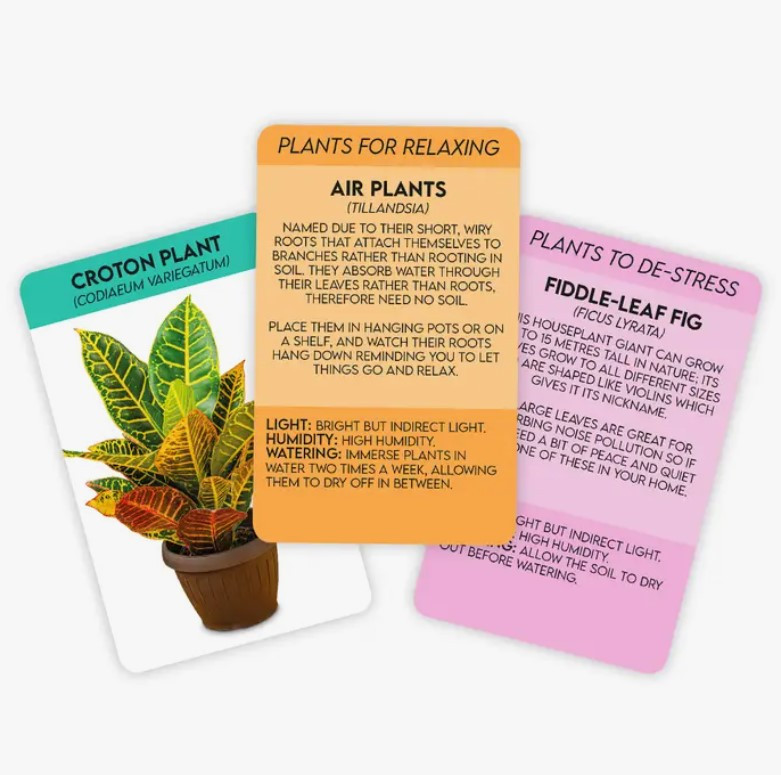 Positive Plant Cards - Little Obsessed