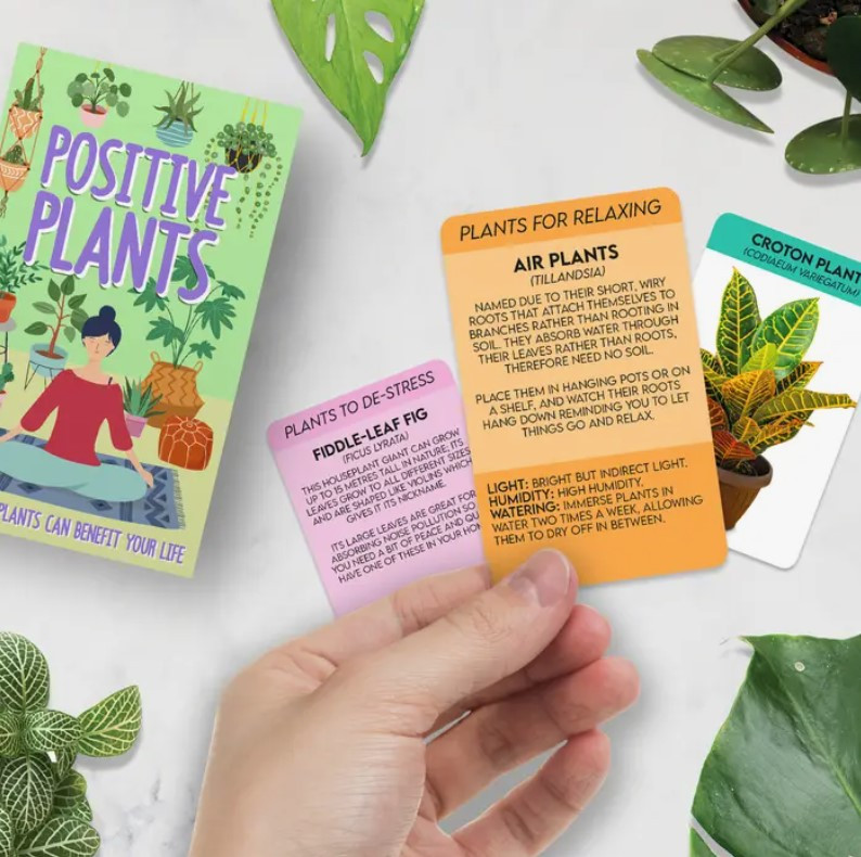Positive Plant Cards - Little Obsessed