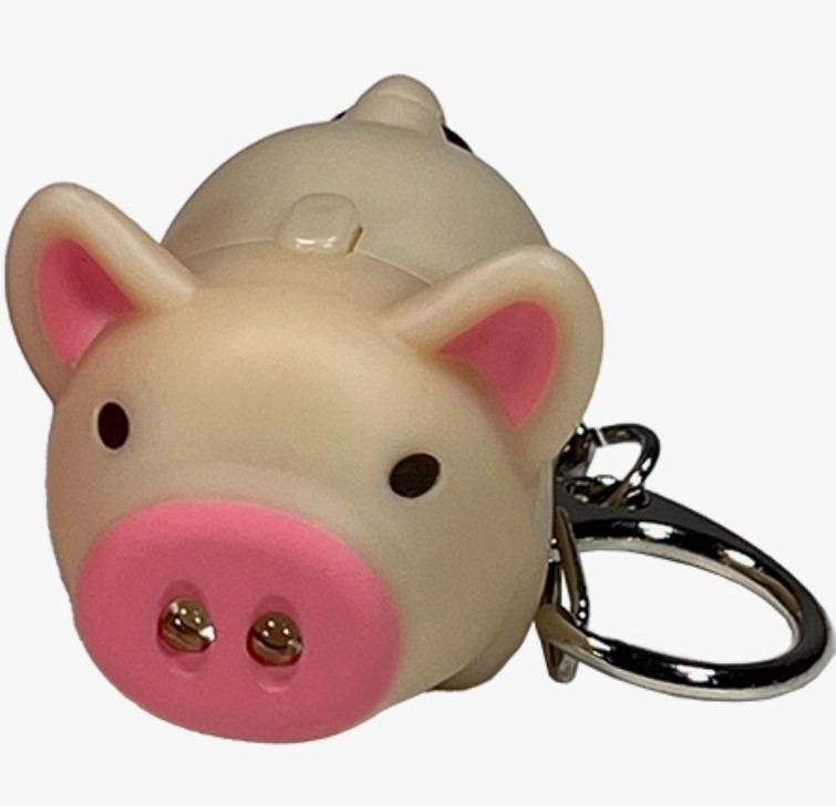 Pig Sound LED Key Light - Little Obsessed