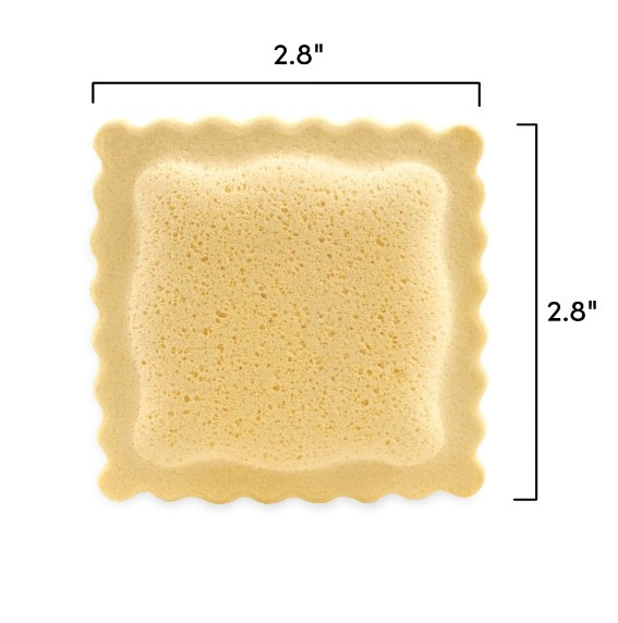 Spongioli Compressed Sponges - Little Obsessed