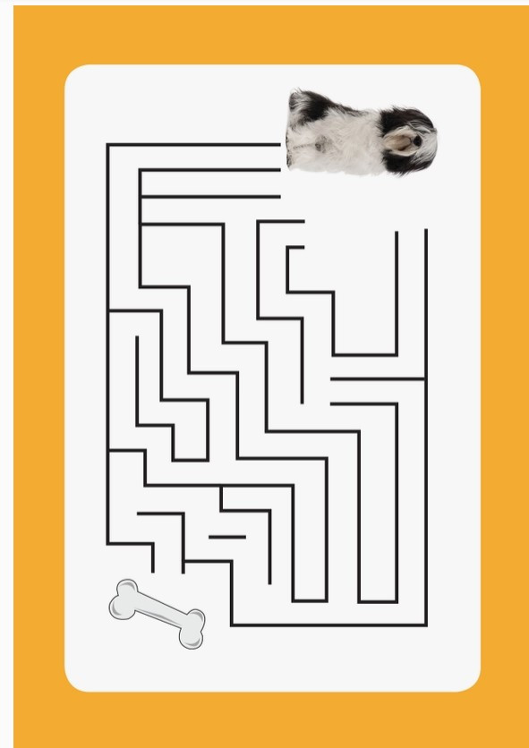 Doodle Activity Flash Cards - Little Obsessed