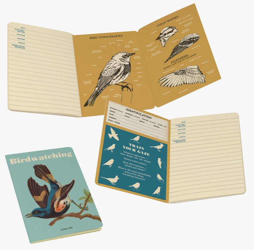Birdwatching Notebook - Little Obsessed