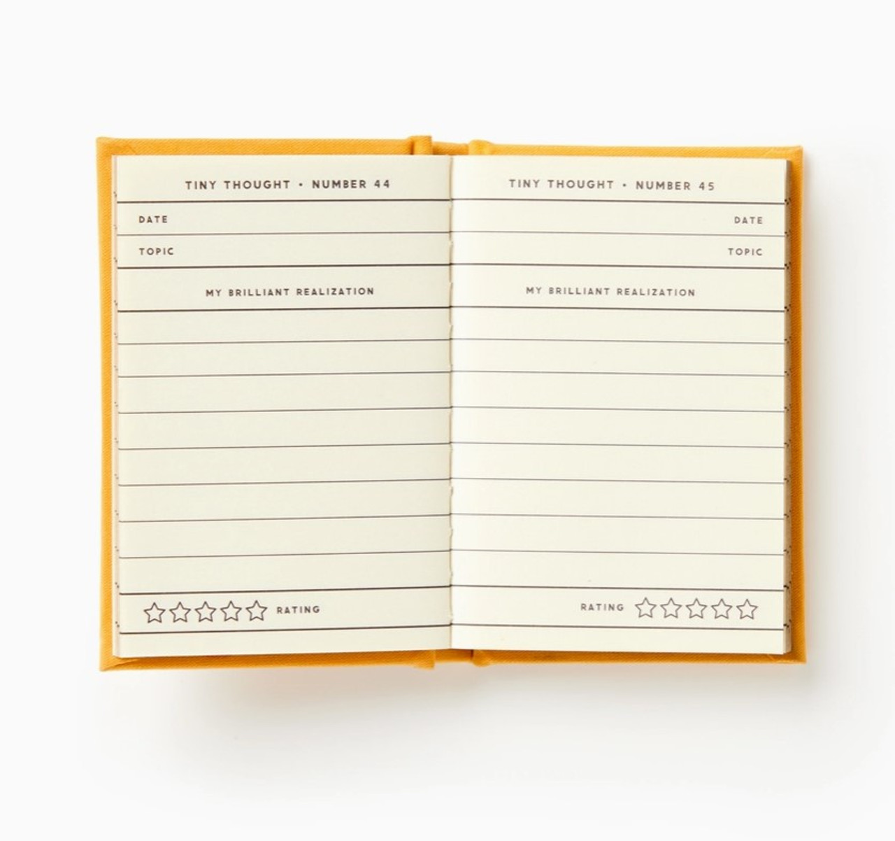 A Tiny Diary For Tiny Thoughts Little Obsessed