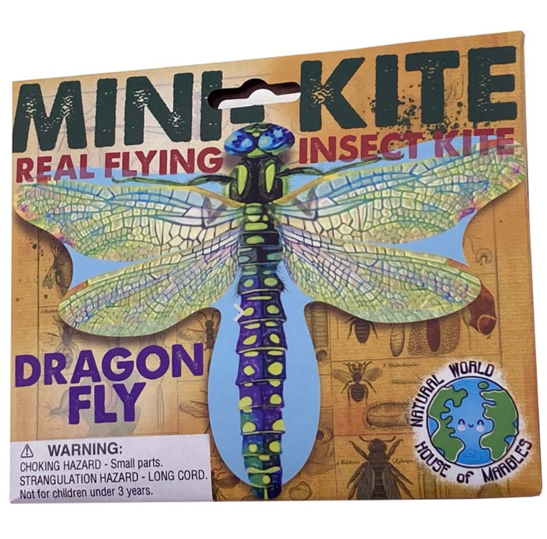 Mini Flying Insect Kite - Little Obsessed